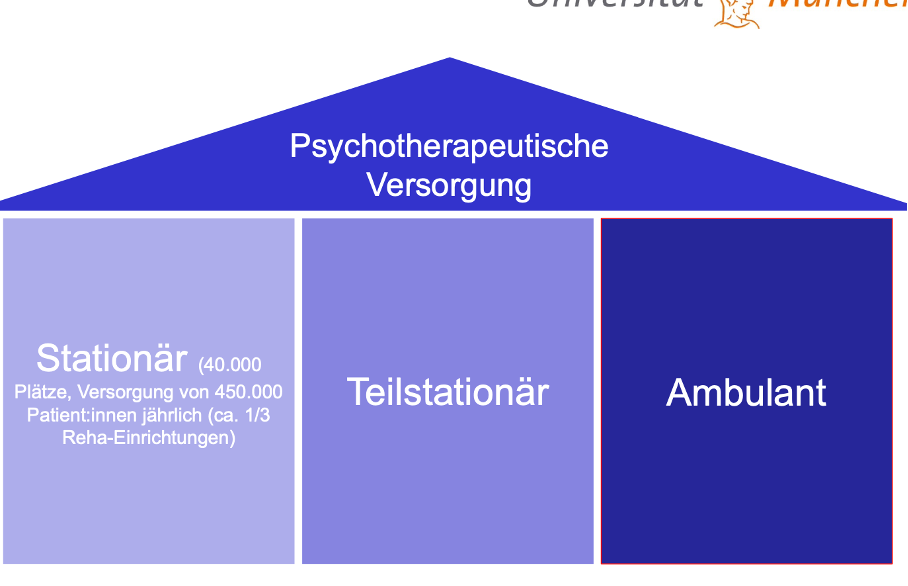 Wie sieht die klinische Versorgung aus? | Angewandte Psycho…